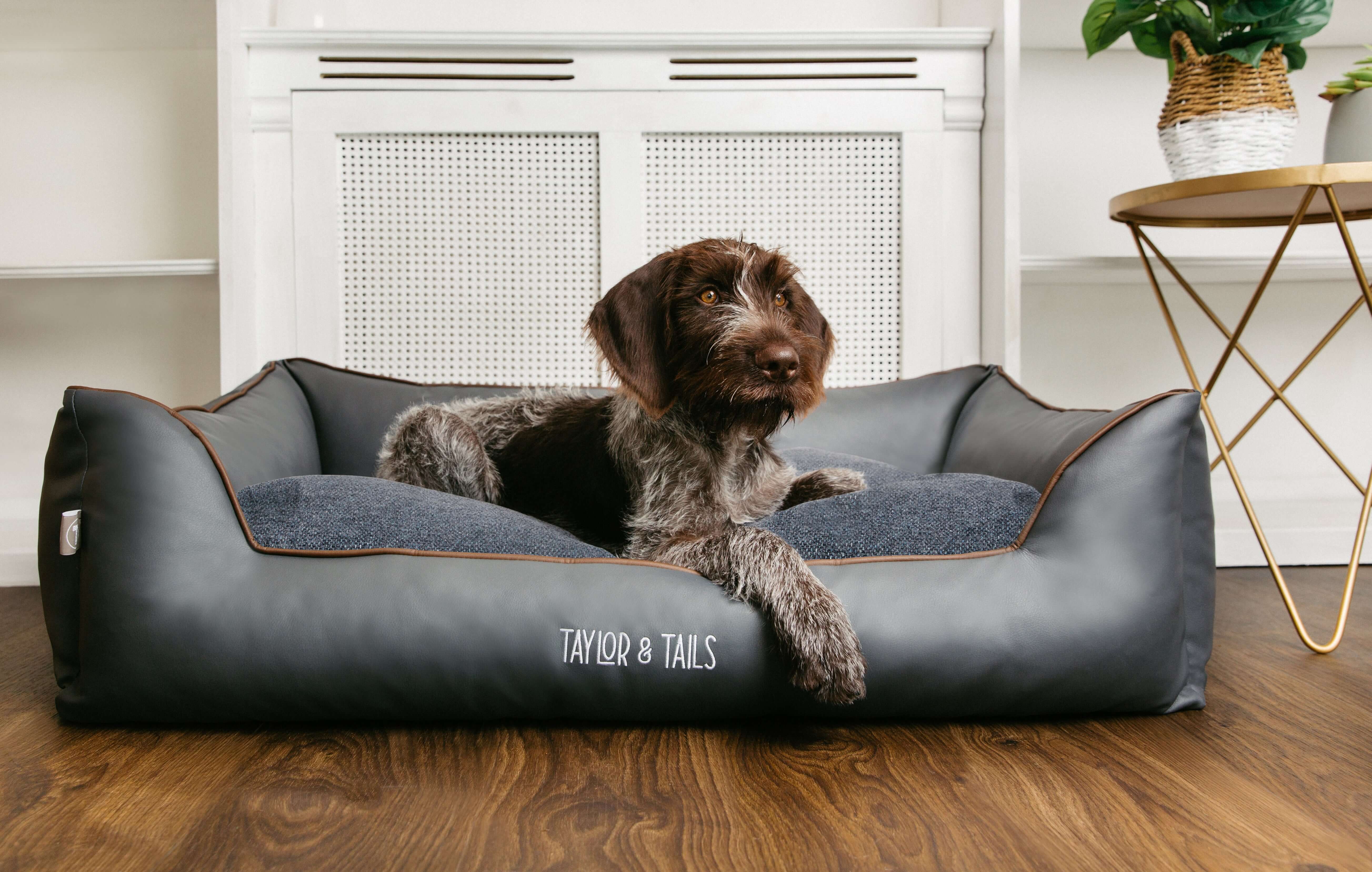 Luxury Orthopedic Dog Beds UK | Long Lasting | Easy Clean – Taylor ...